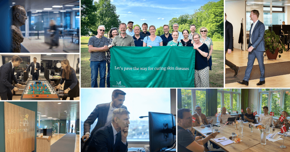 The Foundation as a workplace - LEO Foundation