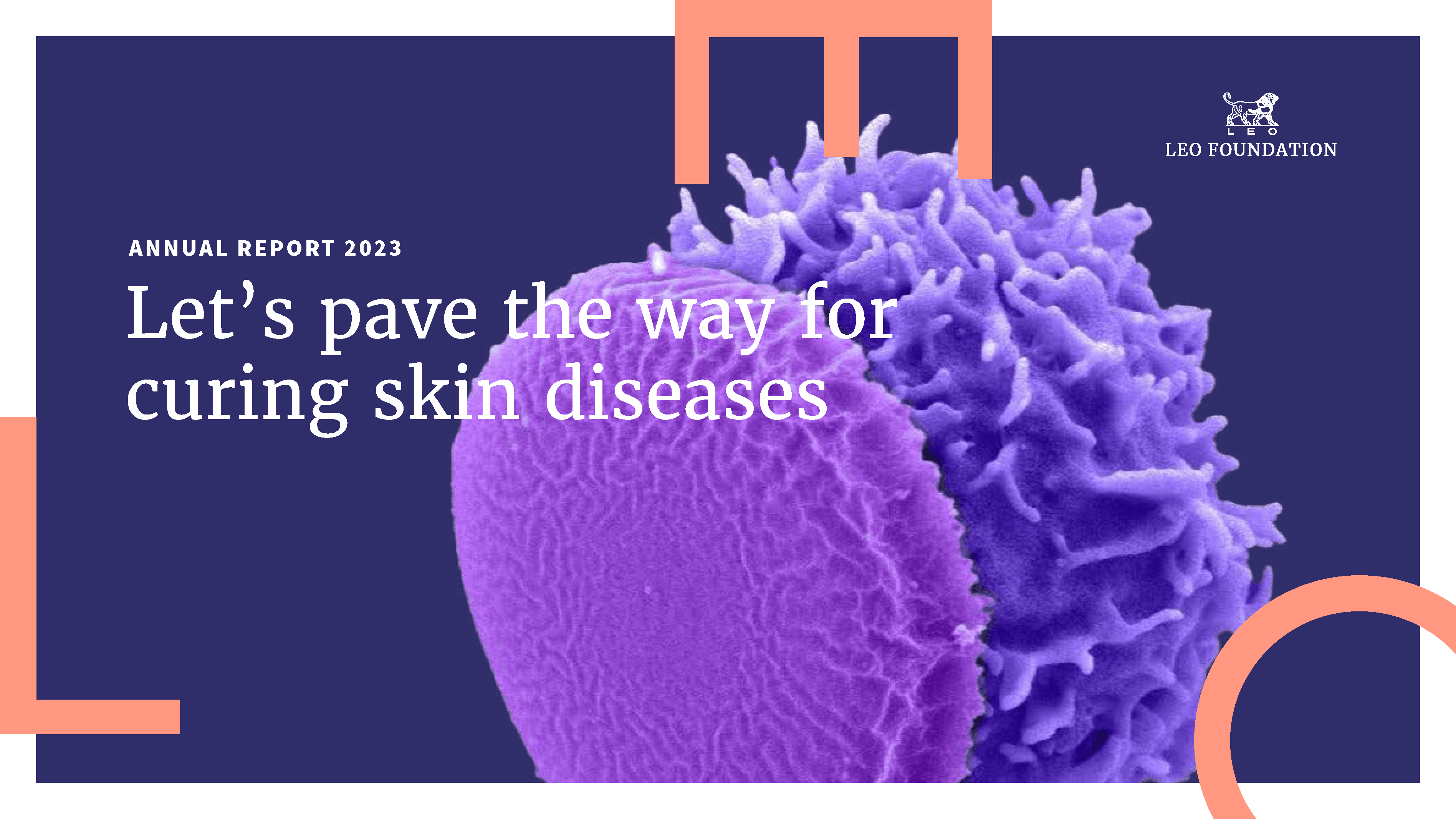 Annual Report 2023: Achievements and ambitions that pave the way for curing skin diseases